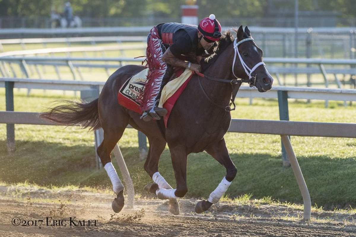 Preakness Notes, May 17: Classic Empire In 'Tip-Top Shape' Heading Into ...