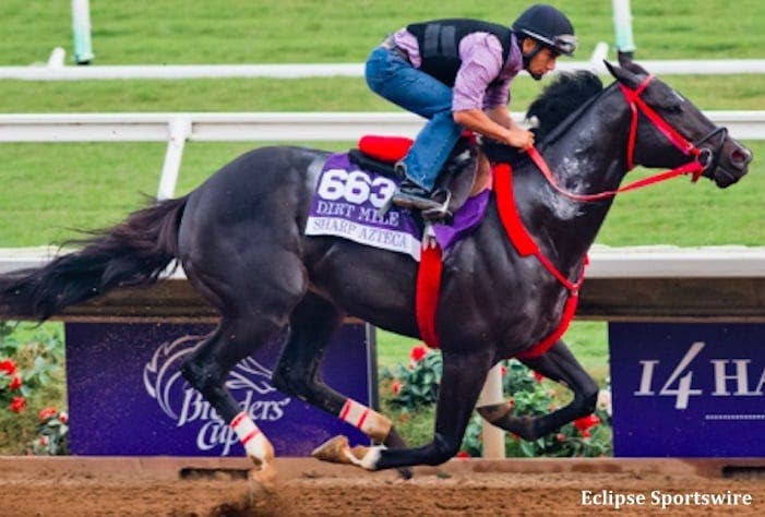 Cigar Mile: Castellano To Partner With Sharp Azteca, 'Versatile ...