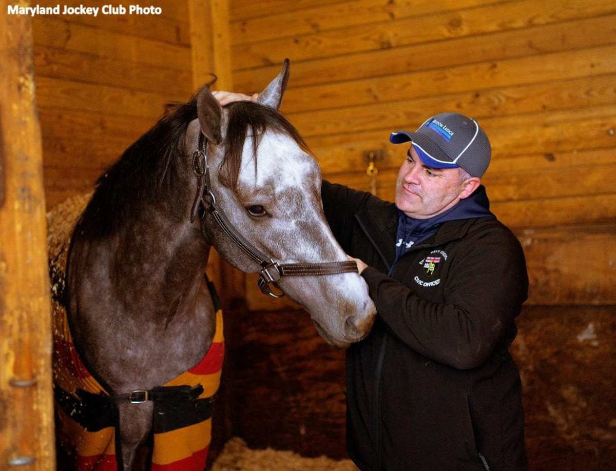 El Areeb 'A Handful' On Return To Training At Laurel Park - Paulick ...