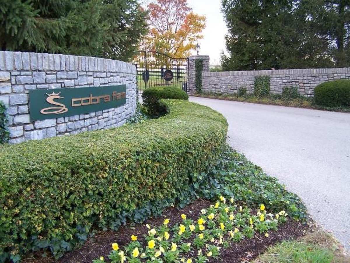 'Precedent' Setting? City Of Lexington Paid Cobra Farm's $21,000 Legal ...