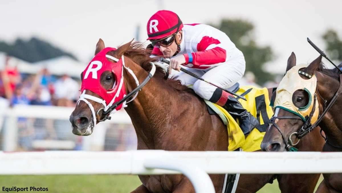 Oscar Nominated To Enter Stud At BG Thoroughbred Farm In California ...