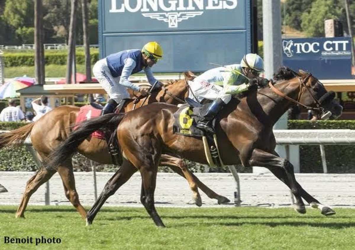 8-Year-Old Farhaan Gets First Graded Stakes Victory In Thunder Road ...