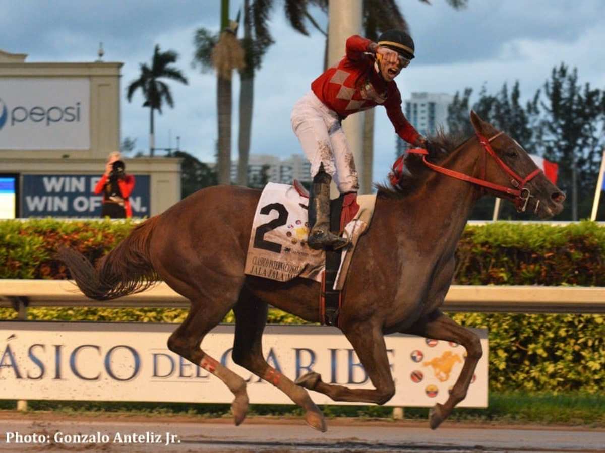 Irad Ortiz's Clasico Del Caribe Win Earns Jockey Of The Week Title ...