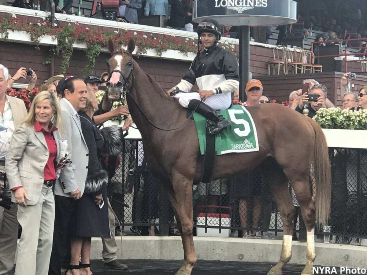 Grade 1 Winner Voodoo Song To Enter Stud In Turkey - Paulick Report ...