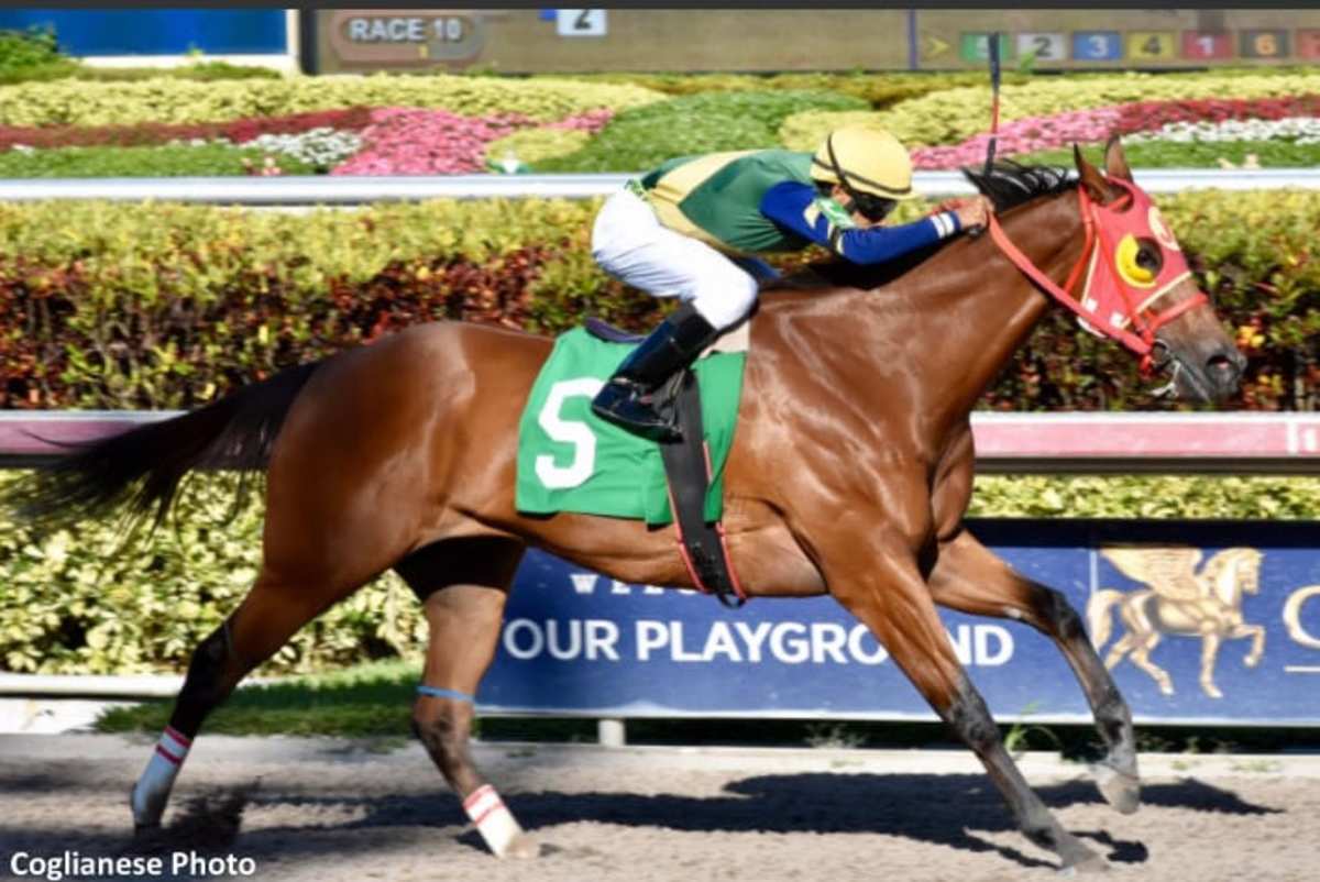 21-Time Winner Defer Heaven Highlights Sunday Allowance At Monmouth ...