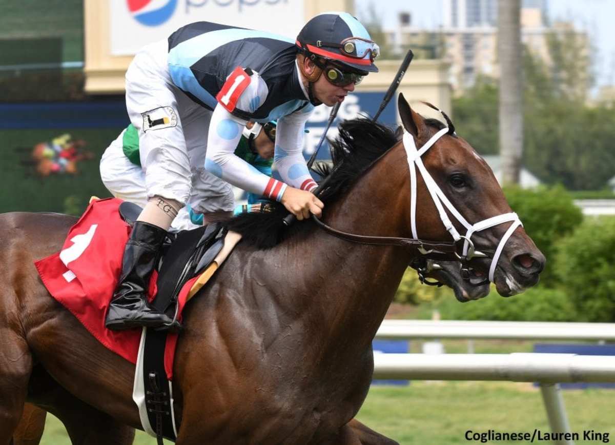 Earth Becomes First Winner For Freshman Sire Orb - Paulick Report ...