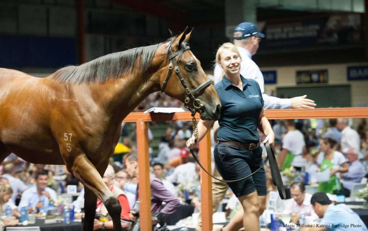 Magic Millions Wraps Book 1 Of Gold Coast Yearling Sale With 1.2 ...