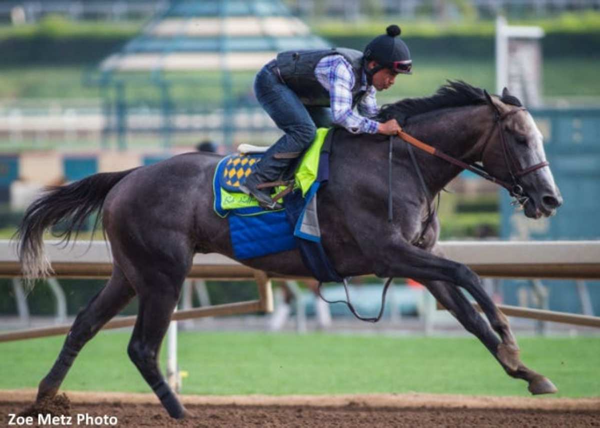 Final Breeze Proves Arrogate Up To Baffert's 'Standards' For San Diego ...