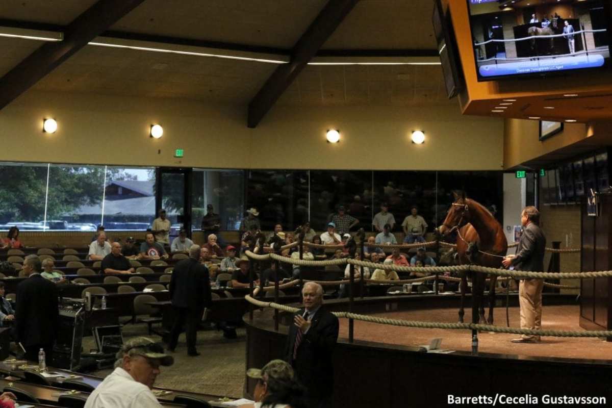 California Thoroughbred Breeders Association's 2024 Winter Mixed Sale ...