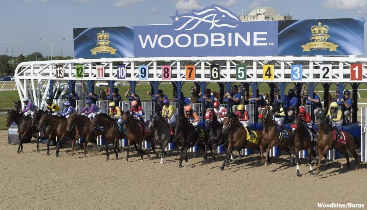 Toronto City Council Approves Expanded Gaming At Woodbine - Paulick ...