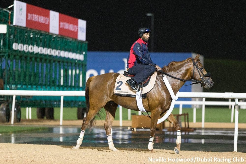 Dubai: Mind Your Biscuits Works Quarter Mile, Imperial Hint Officially ...