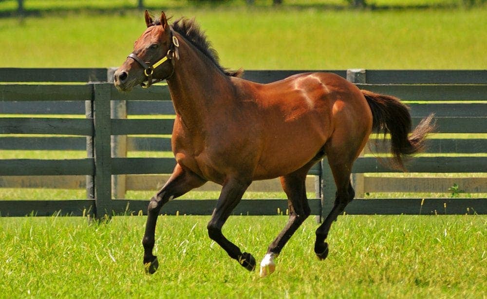 The Price Of Success: Candy Ride Rises After Successful May Campaign ...