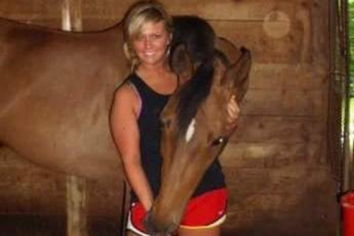 Indiana's Paulus 'Tireless' In Rehoming Off-Track Thoroughbreds ...