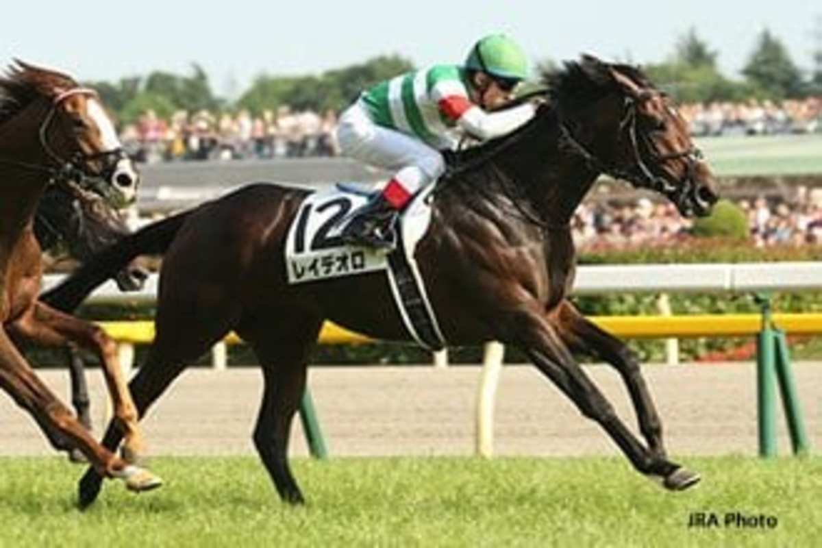 Rey De Oro Takes Japanese Derby To Give Lemaire, Fujisawa Oaks-Derby ...