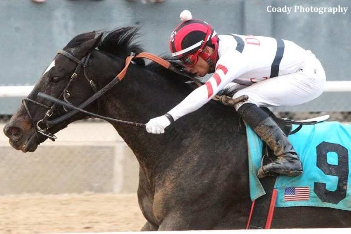 9-Year-Old Domain's Rap Kicks Off 2017 With Oaklawn Stakes Victory ...