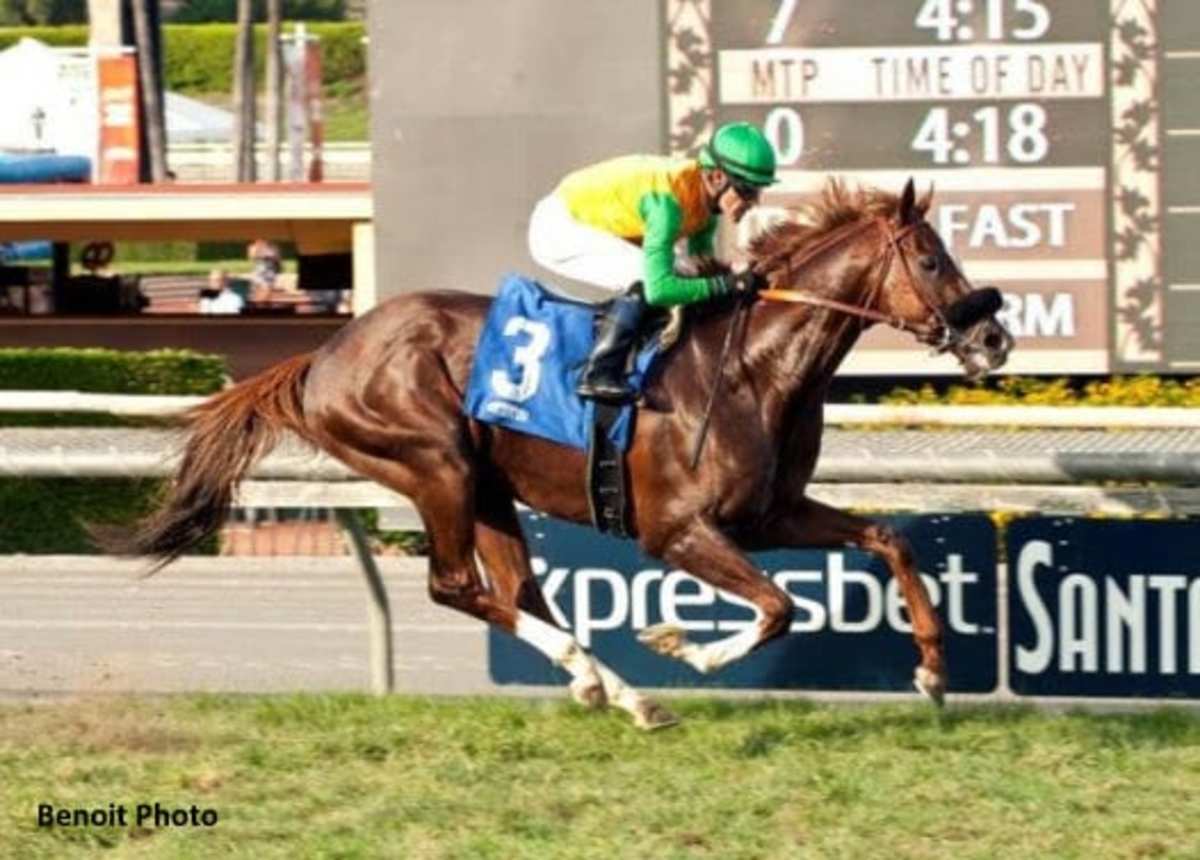 Om Hoping For Fireworks In Tuesday's American Stakes At Santa Anita ...
