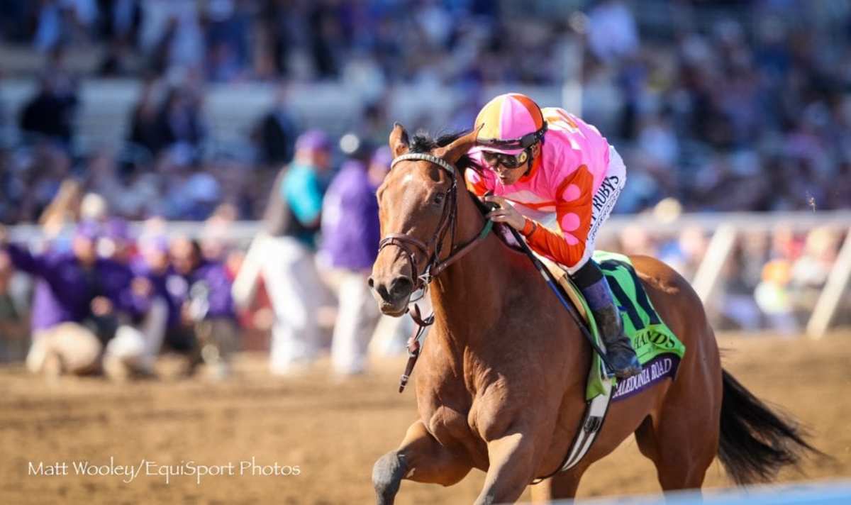 Breeders' Cup Presents Connections: Nicks Creates His Own ‘Luck’ With ...