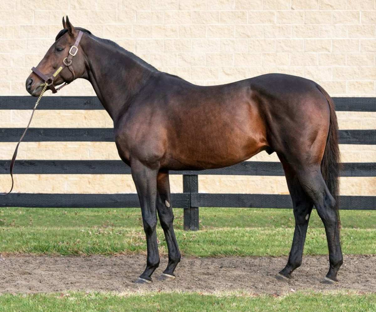 Pennsylvania: New $250,000 Breeder Bonus Offered By Connections Of ...