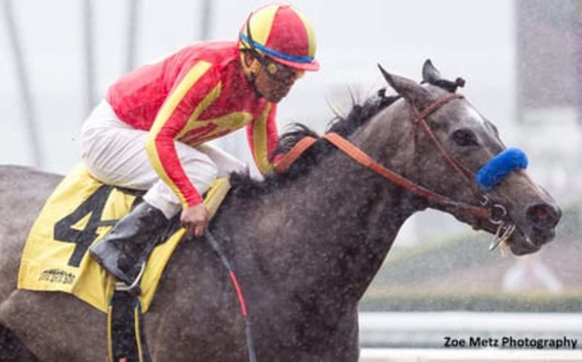 Pretty N Cool Strong Off The Layoff In Las Flores - Paulick Report ...