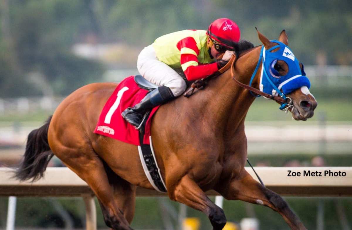 Silent Bird Adds Blinkers To Score In Midnight Lute - Paulick Report ...