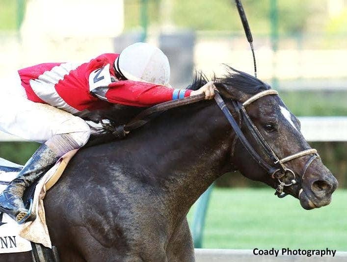 McCraken Half-Sister 'Impressive' In Churchill Debut - Paulick Report ...