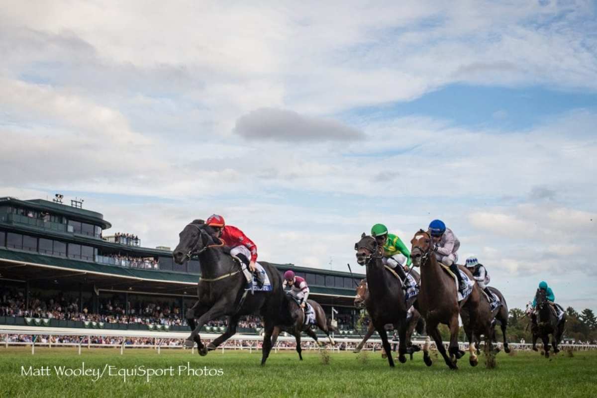 Suedois Runs Down Heart To Heart In Shadwell Turf Mile - Paulick Report ...