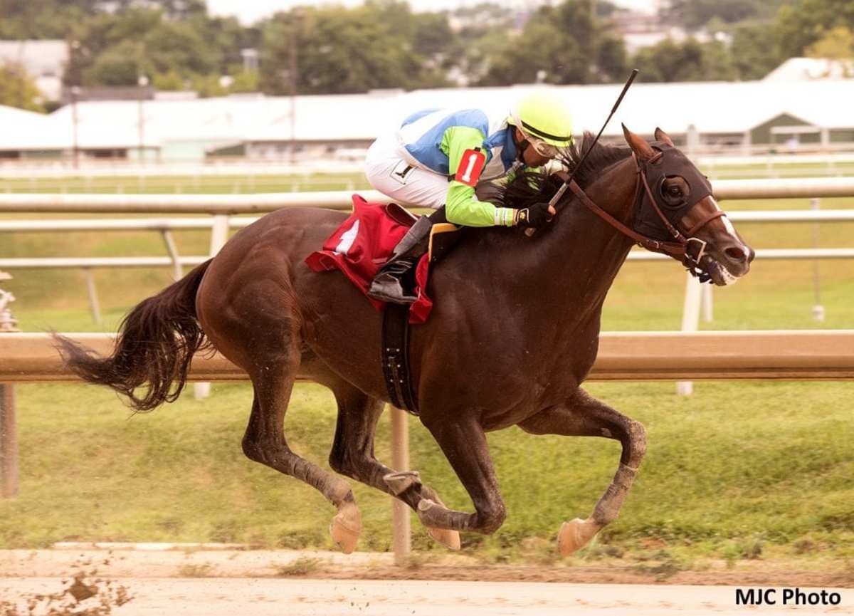 No Dozing Rested And Ready For G1 H. Allen Jerkens Stakes - Paulick ...