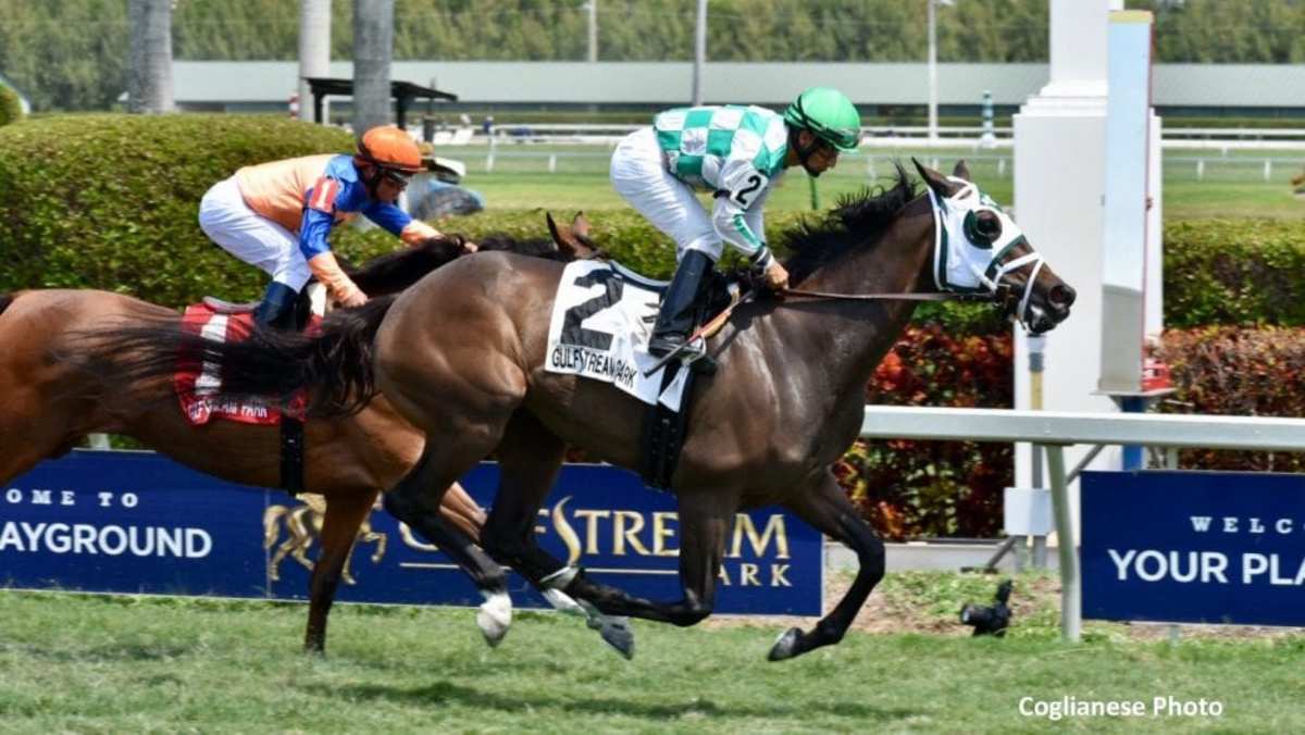 Summersault Makes It Three In A Row With Orchid Victory - Paulick ...