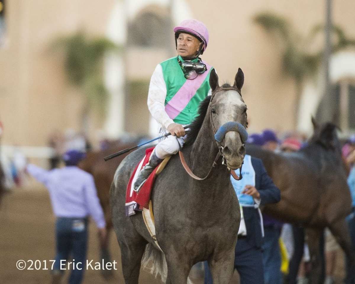 Arrogate Heading Off To Stud; West Coast, Collected Baffert's ...