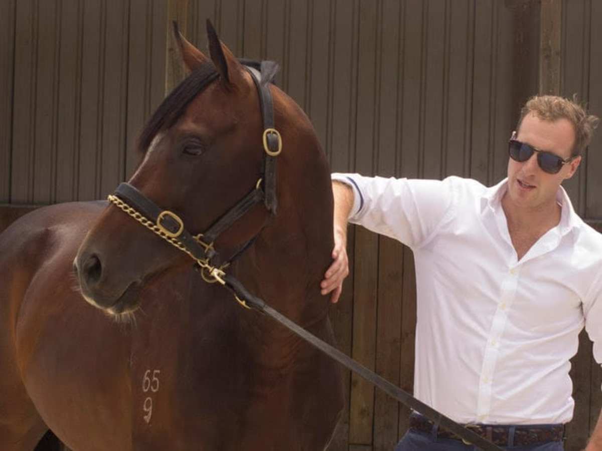 Australia: Andrew Williams Launching Bloodstock Agency - Paulick Report ...