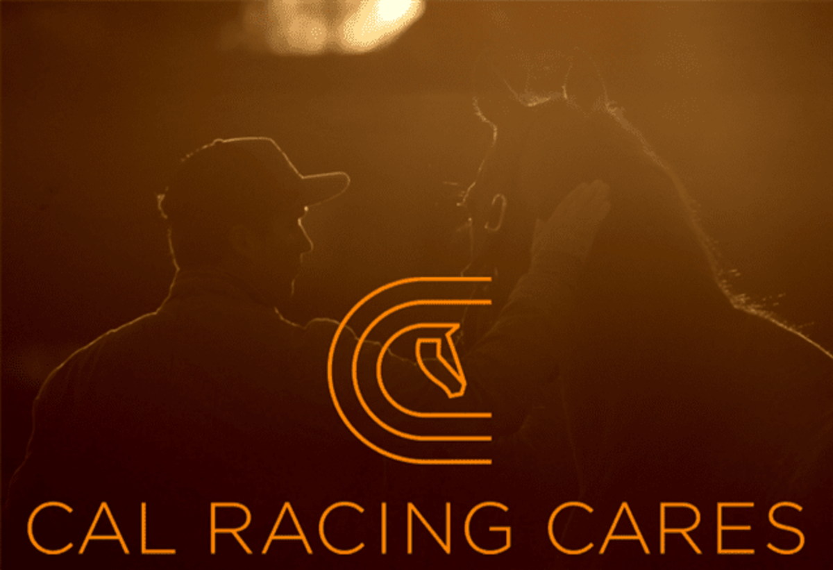 Cal Racing Cares: Website Launched To Raise Awareness Of Industry's ...