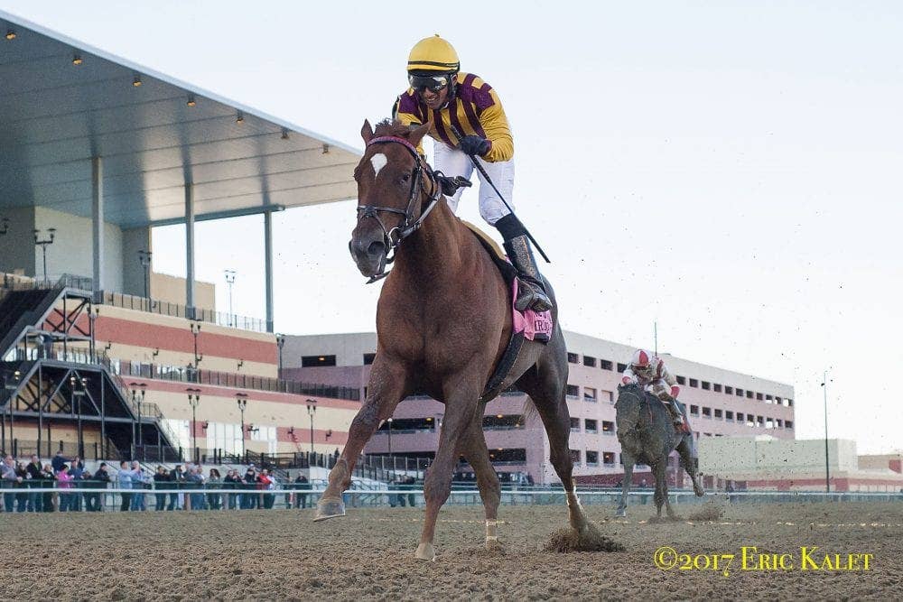 Irish War Cry Breezes Six Furlongs At Fair Hill, Likely For Belmont ...