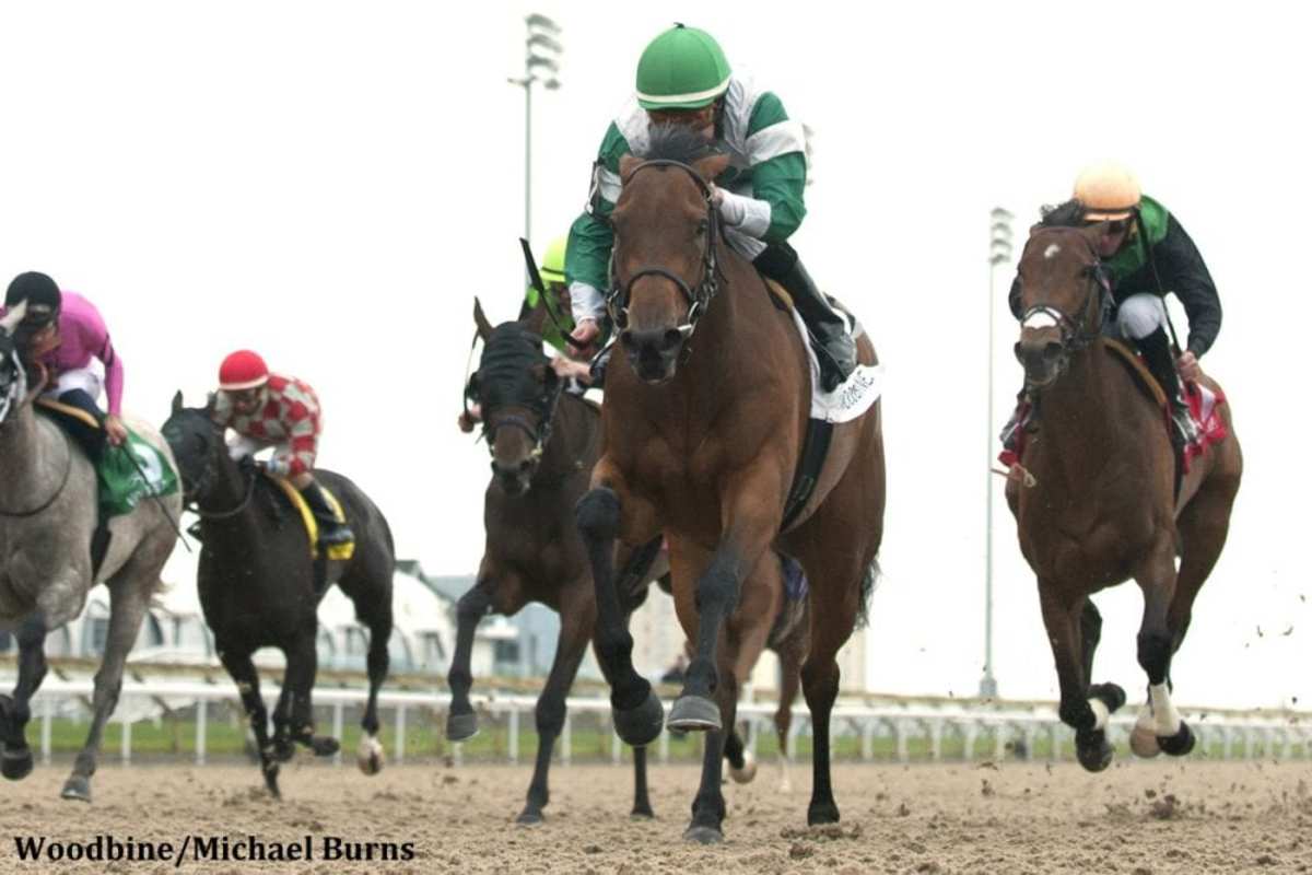 Irish-Bred Grizzel Gets Initial Stakes Triumph In Selene At Woodbine ...