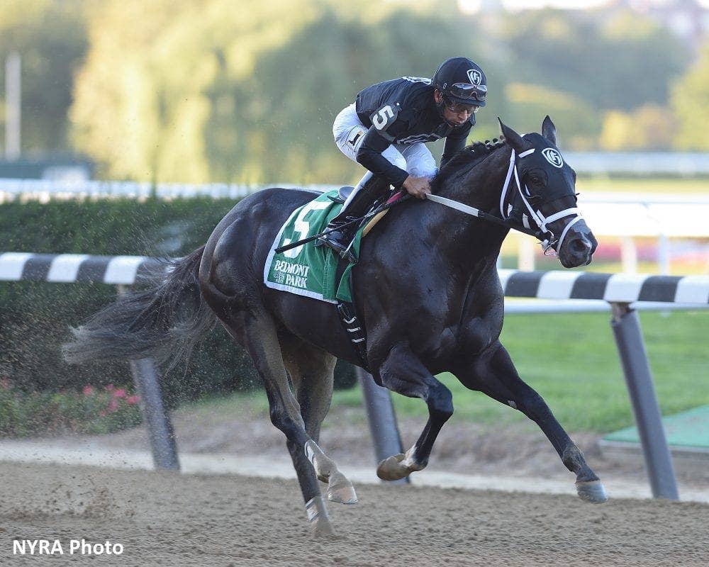 Sharp Azteca All The Way In Kelso - Paulick Report | Latest news and ...