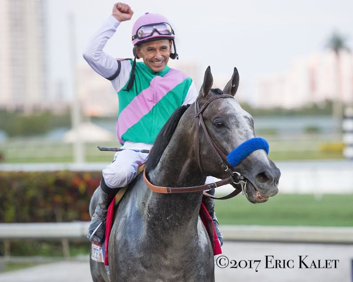 'I Imagine He Knows How Good He Is': Arrogate Heads Back To California ...