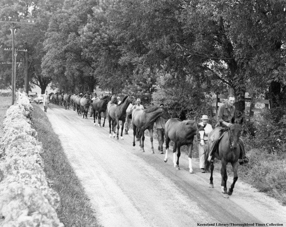 Kentucky Farm Time Capsule: Mereworth Farm - Paulick Report | Latest ...