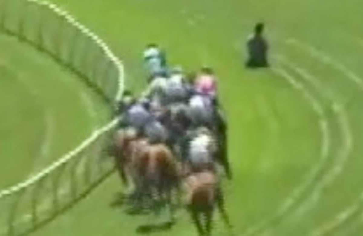 What’s He Doing There? Horses Avoid Hitting Man On Golden Gate Fields ...