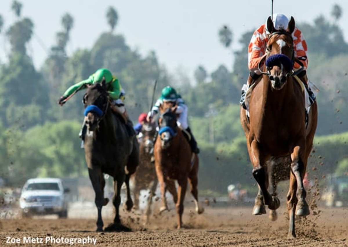 Top Of The Game Upsets Comma To The Top Stakes; Hoppertunity Second ...