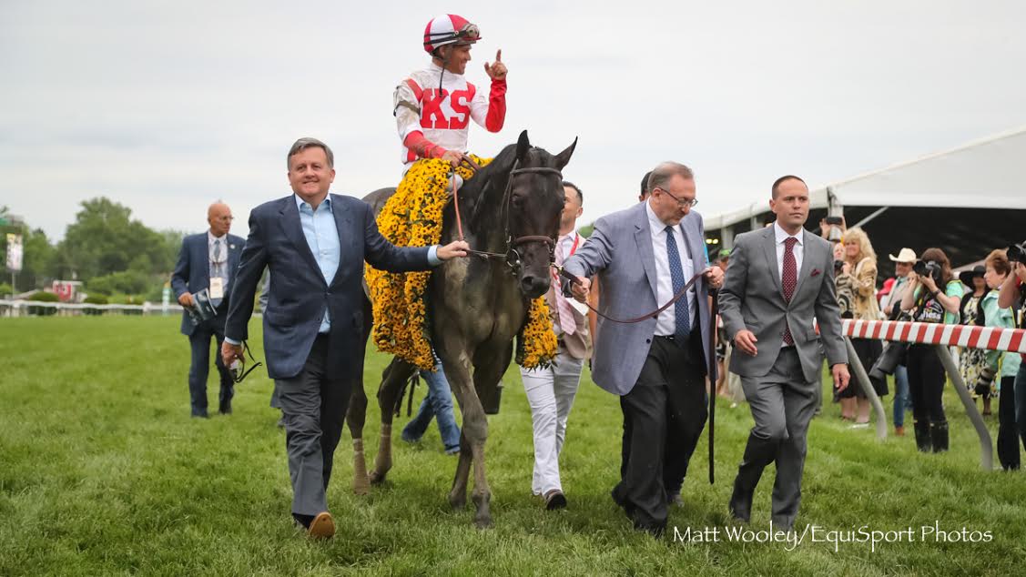 First Foal Is A New York-Bred Colt For Preakness Winner Cloud Computing ...