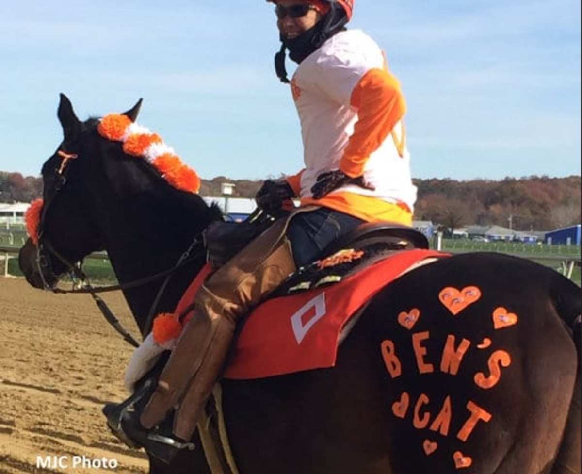 Farewell To The 'Amazing, Magnificent' Ben's Cat - Paulick Report ...