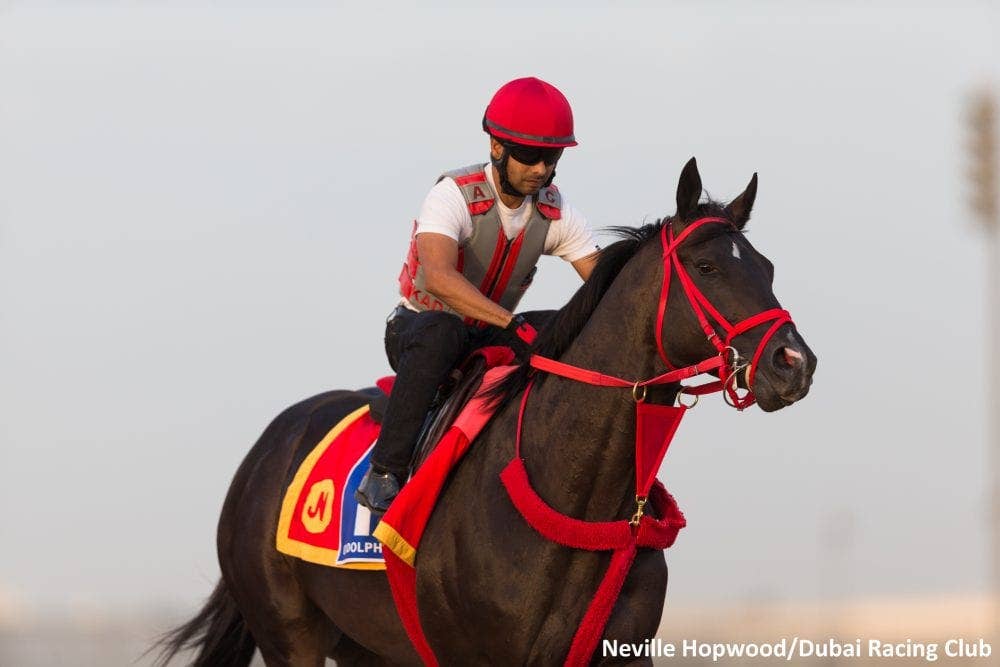 Navarro Takes Pride In Sharp Azteca's 'Amazing' Recovery From Freak ...