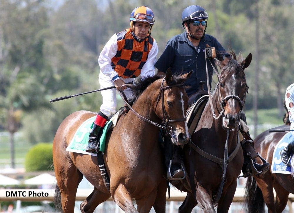 Brazilian Native Lobo Saddles Two South Americans In Saturday's Yellow ...