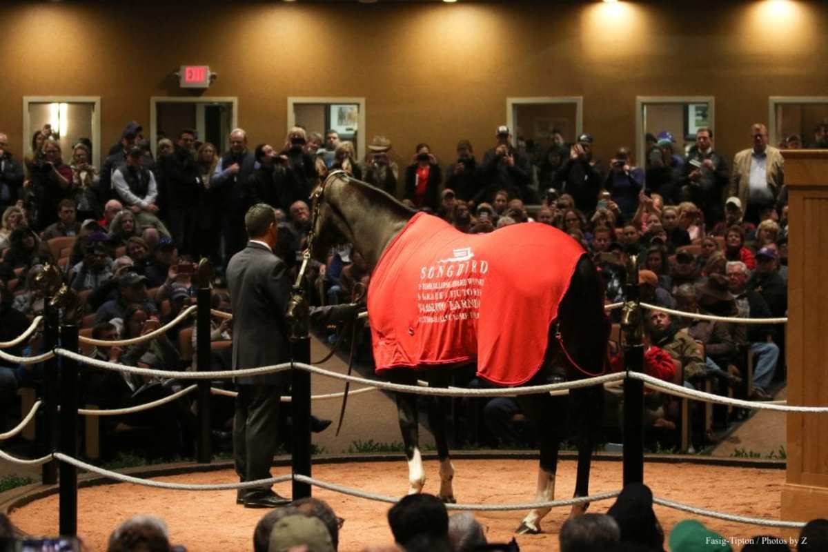 Songbird To Mandy Pope For $9.5 Million, Tepin To Magnier For $8 ...