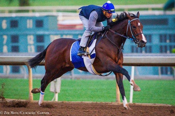 Songbird 'Nice And Smooth' In First Breeze Of 2017 - Paulick Report ...