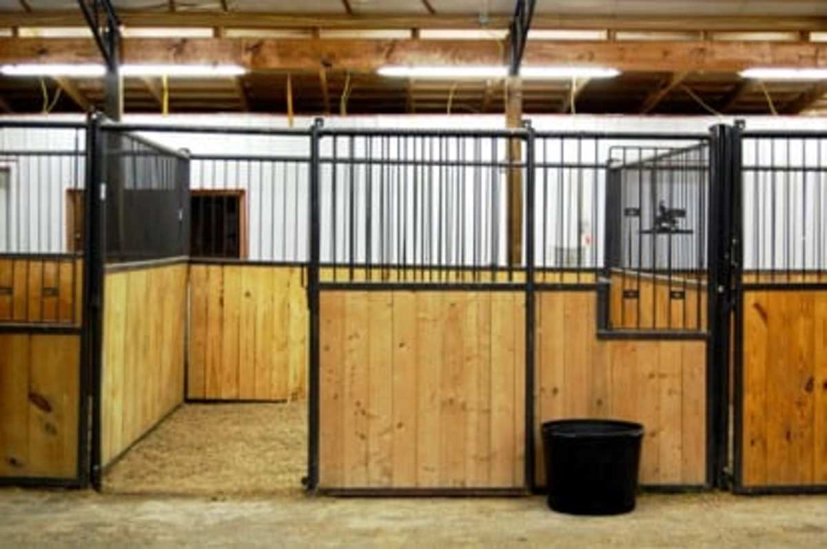 Biosecurity Basics: Disinfecting A Stall - Paulick Report | Latest news ...