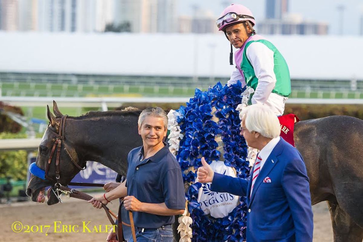Dubai World Cup? What's Next For Pegasus Champion Arrogate - Paulick ...