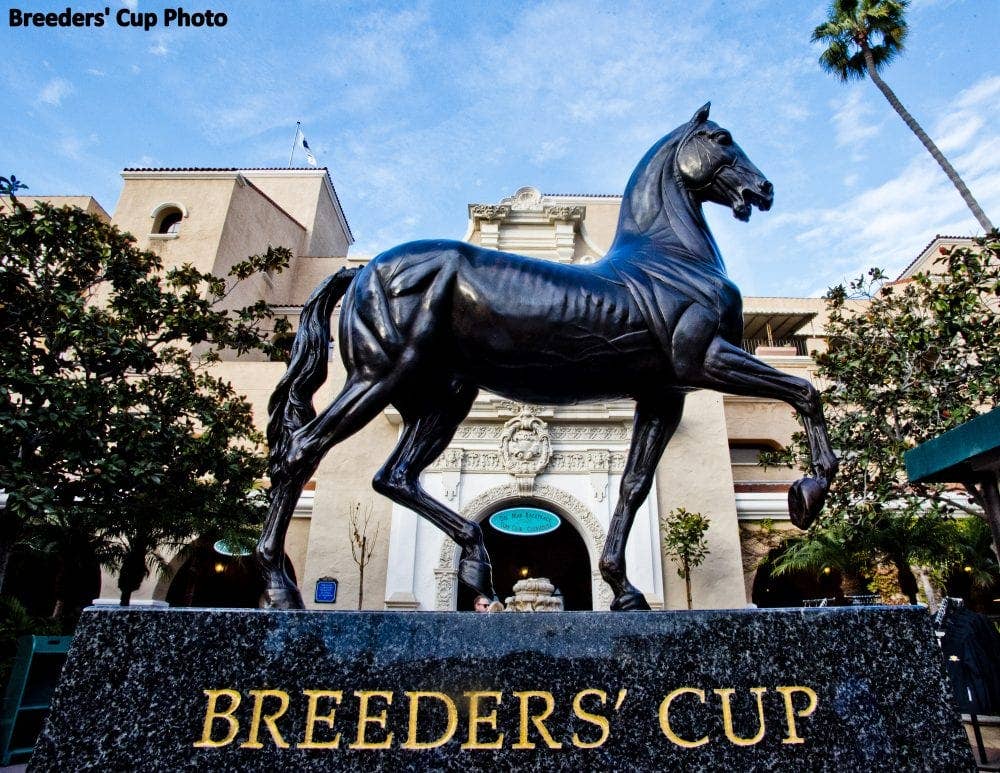 The Haiku Handicapper Presented By FanDuel Racing: 2024 Breeders' Cup ...