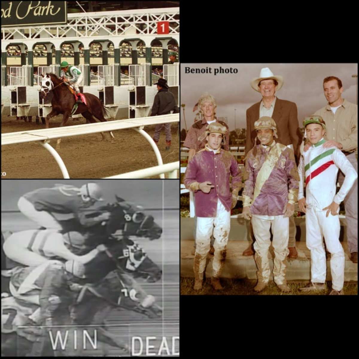 Shock And Awe At Hollywood Park: December 7, 1997 - Paulick Report ...