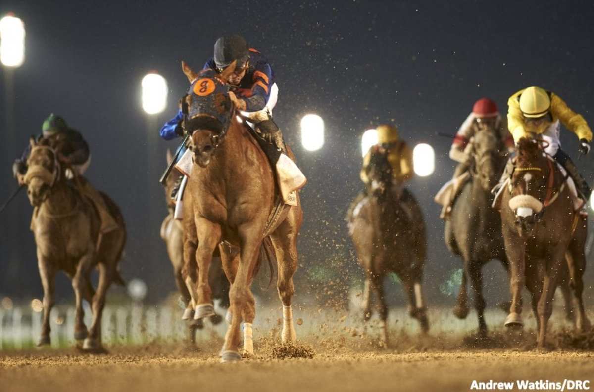 Mind Your Biscuits Honored As New York-Bred Horse Of The Year - Paulick ...