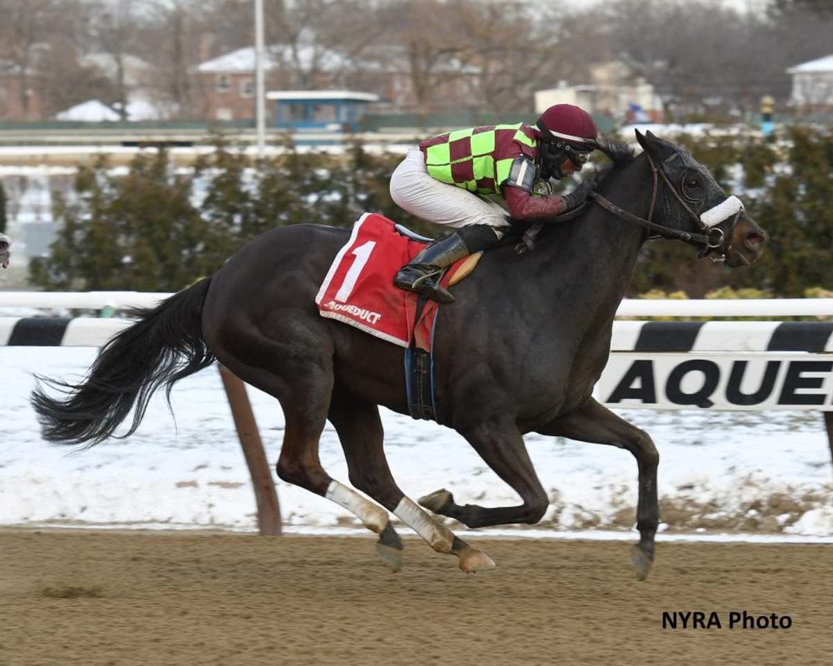 Spartiatis Earns First Stakes Win In Tom Fool Handicap - Paulick Report ...